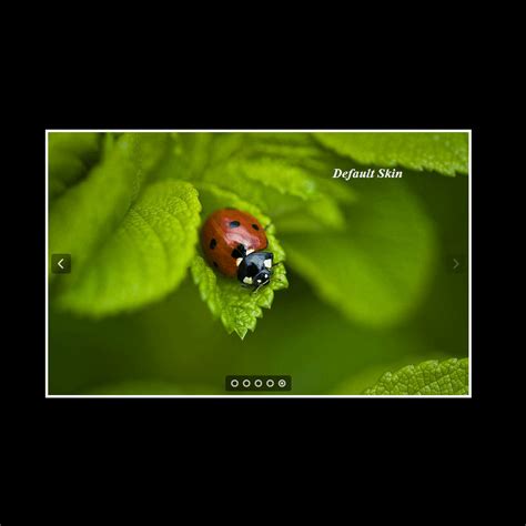 Responsive Jquery Slider Plugins