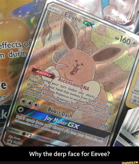 Why The Derp Face For Eevee Why The Derp Face For Eevee Ifunny