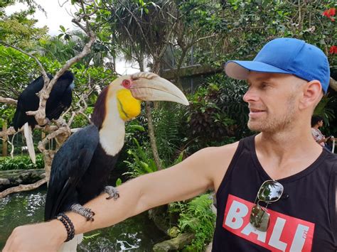 Insect Mandibles The Jaws Of The Bug World Earth Life