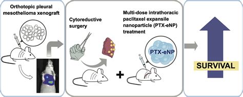 Como Fazer Um Grafico