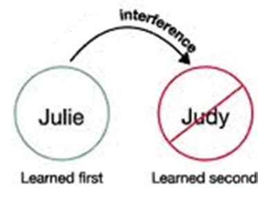 Explanations For Forgetting Proactive And Retroactive Inference Flashcards Quizlet