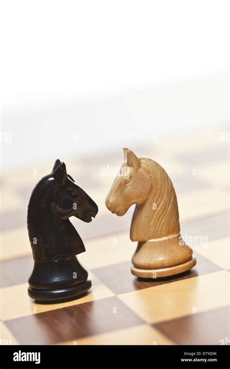 chess piece knight