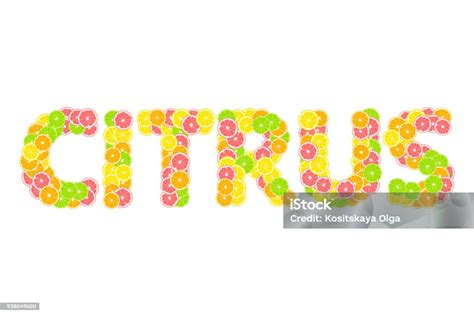 감귤 류의 영어 단어입니다 여름 열 대 인쇄 노란색 레몬 녹색 라임 핑크 자 몽과 흰색 바탕에 오렌지의 구성 라임에 대한 스톡 벡터 아트 및 기타 이미지 Istock