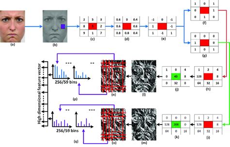 Systematic Representation Of Feature Extraction Scheme Using Dltp