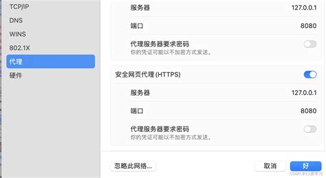 Burp Suite安装及汉化过程burpsuite汉化 Csdn博客 Burp Suite安装及汉化过程burpsuite汉化 Csdn博客