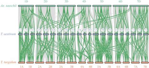 Genome Wide Identification And Expression Analysis Of Calmodulin And
