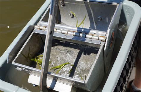 Benthic Marine Invertebrate Services Enviroscience Enviroscience