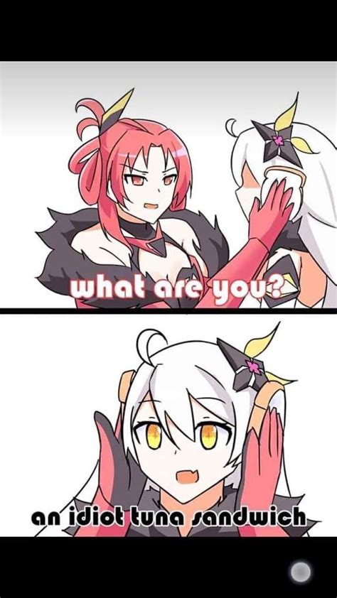 Meme Honkai Impact Amino Amino