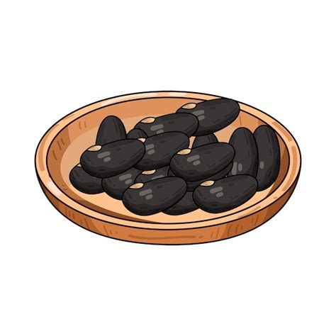 Premium Vector Bean Illustration