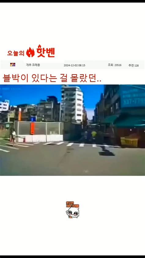 웃기면개추 아이고야 일상 소통 맞팔 선팔 여행 육아 사고 유머 웃긴짤 유머스타그램