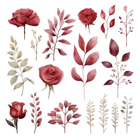 Premium Vector Set Plants Elements Wild Herb Branches With Leaves