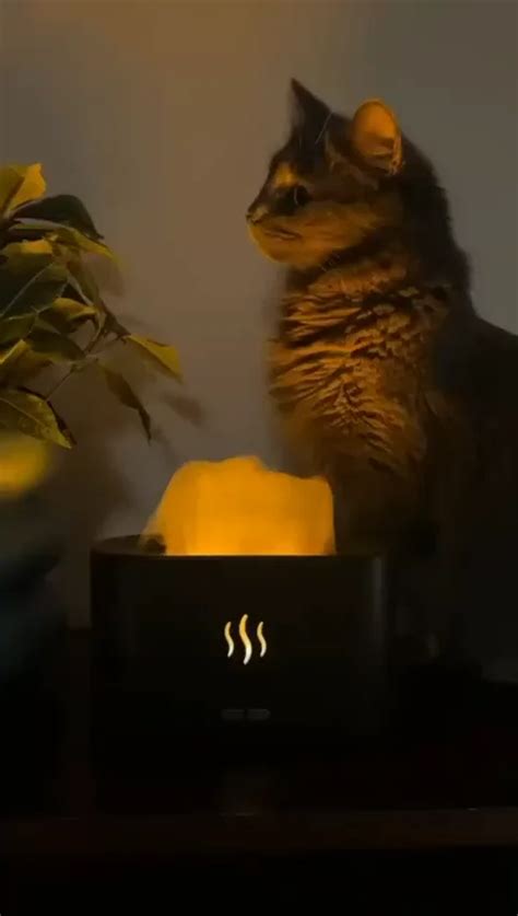 Plastic Essential Oil Diffuser Simulation Flame Nano Mist Air Humidifier 180ml Portable