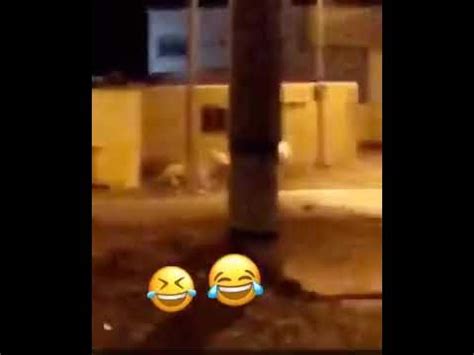 نيك حمير مضحك😂😂😂😂 Youtube