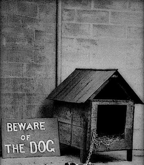 The Nines Righting Wrong