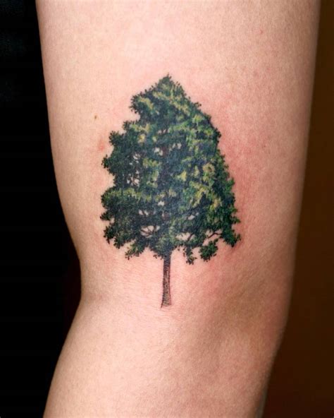 Upper Arm Tree Tattoos Tremendous Triangle Tattoo Ideas To Check