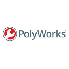 PolyWorks Archives Direct Dimensions