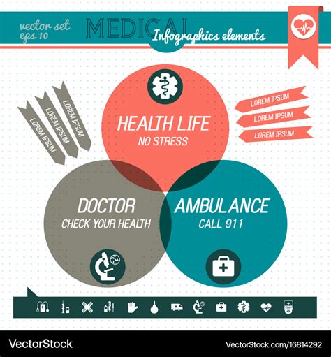 Three Part Medical Infographic Royalty Free Vector Image