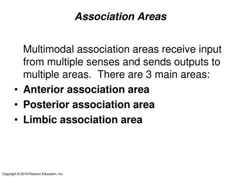 Ppt The Brain Powerpoint Presentation Free Download Id2067971