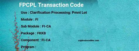FPCPL SAP Tcode For Clarification Processing Pmnt Lot