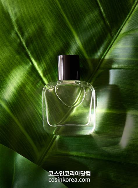 화장품 뷰티 전문 미디어 코스인코리아닷컴