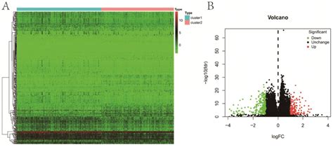 Differential Expression Analysis Between Two Clusters A Heatmap B