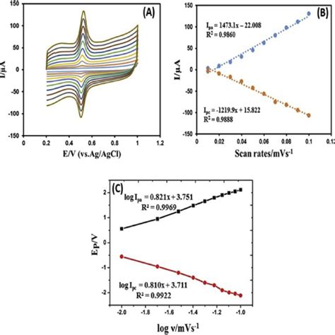 A Cyclic Voltammetry Responses Of The Fabricated Electrode In Pbs Download Scientific Diagram