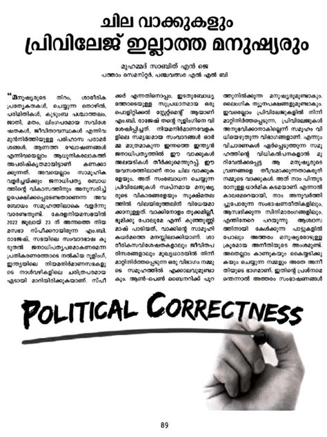 political correctness pdf