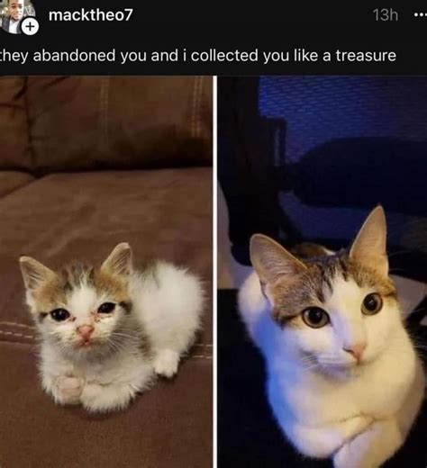 One Mans Trash Is Another Mans Treasure Rcatmemes