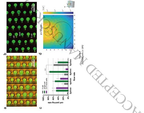 Figure 3 Highly Efficient Cell Microbead Encapsulation