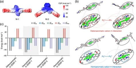 Conductive Two Dimensional Supramolecular Polymers Via Cation π Driven Self Aligned Aromatic