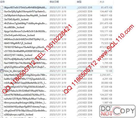 locked勒索病毒解密 服务器中毒解密 locked 数据库中勒索病毒解密恢复 locked