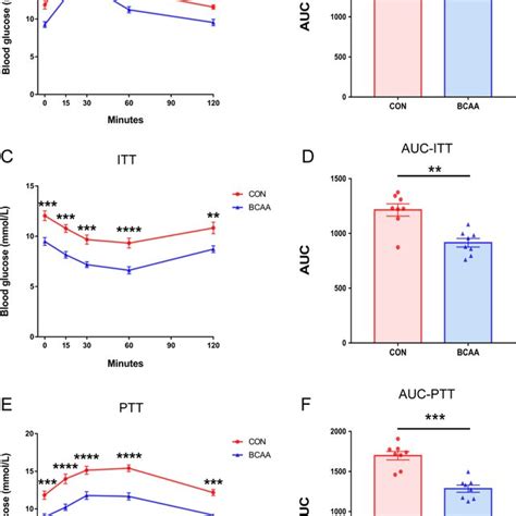 Bcaa Affects Glucose Insulin And Pyruvate Tolerance Tests Results In Download Scientific