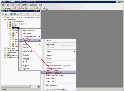 How To Extract Sql Dump From Mdf File Which Is Attached To Sql Server