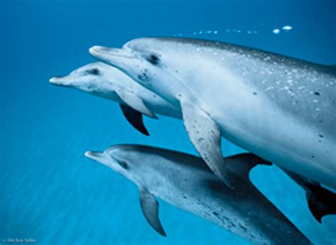 Cg Production Companies Computer Graphics And Computer Animation A