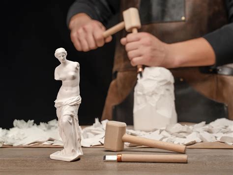 Venus De Milo Sculpting Kit Complete Starter Plaster Carving Kit D