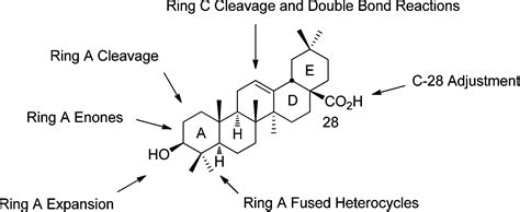 Triterpene Structure