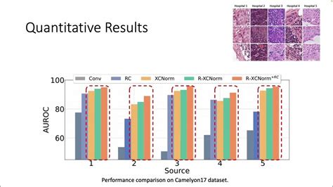 Single Domain Generalization Via Normalised Cross Correlation Based