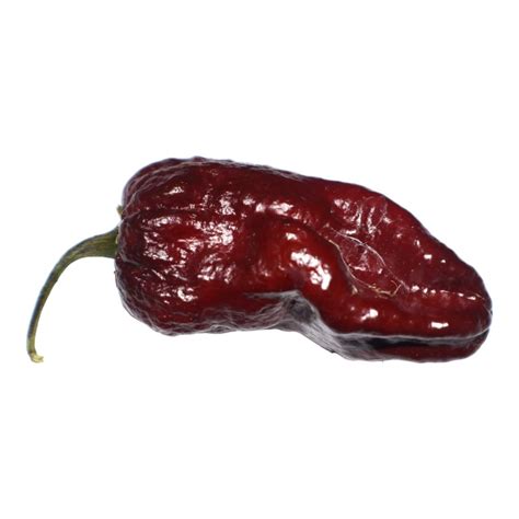 Buy Chilli Seeds Online Happy Valley Seeds Page 2