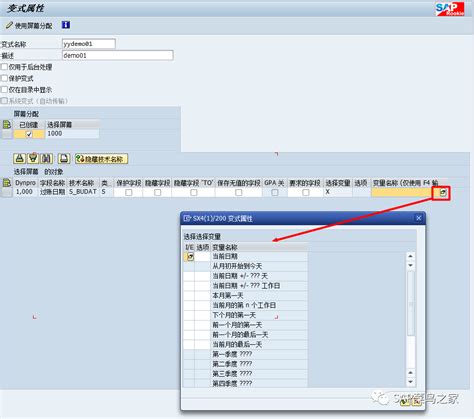 sap选择屏幕设置变式实现动态日期 sap变式动态时间设置 csdn博客