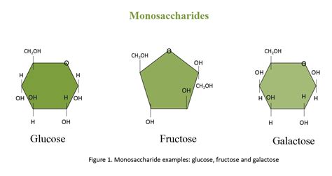 monosaccharide examples