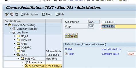 Sap Finance Validations