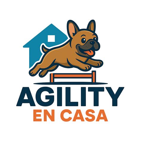 🔰 Agility Para Perros Practica En Casa