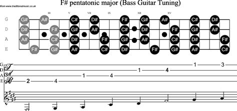 Bass Guitar Scale F Sharp Pentatonic