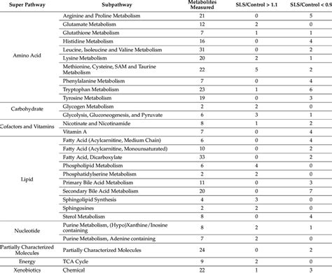 Metabolic Subpathways With At Least Two Significant Metabolites That Download Scientific
