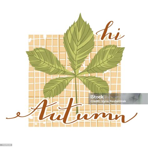 가을 분위기 세련 된 타이포그래피 슬로건 디자인 안녕 가을 표지판 체크 백과 글자가 있는 밤나무 잎 가을에 대한 스톡 벡터 아트 및 기타 이미지 Istock