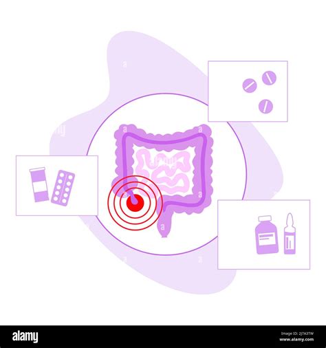 Appendix Diagram Cut Out Stock Images And Pictures Alamy