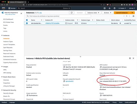 Cut Aws Costs Remove Unused Ebs Volumes Efficiently Cloudfix