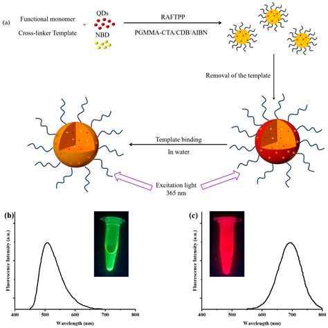 One Pot Preparation Of Ratiometric Fluorescent Molecularly Imprinted Polymer Nanosensor For