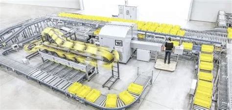 Sorting System Weight Conveyor System Manufacturer From Noida