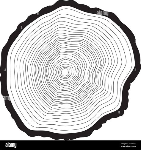 Tree Rings Background Annual Tree Stock Vector Image Art Alamy